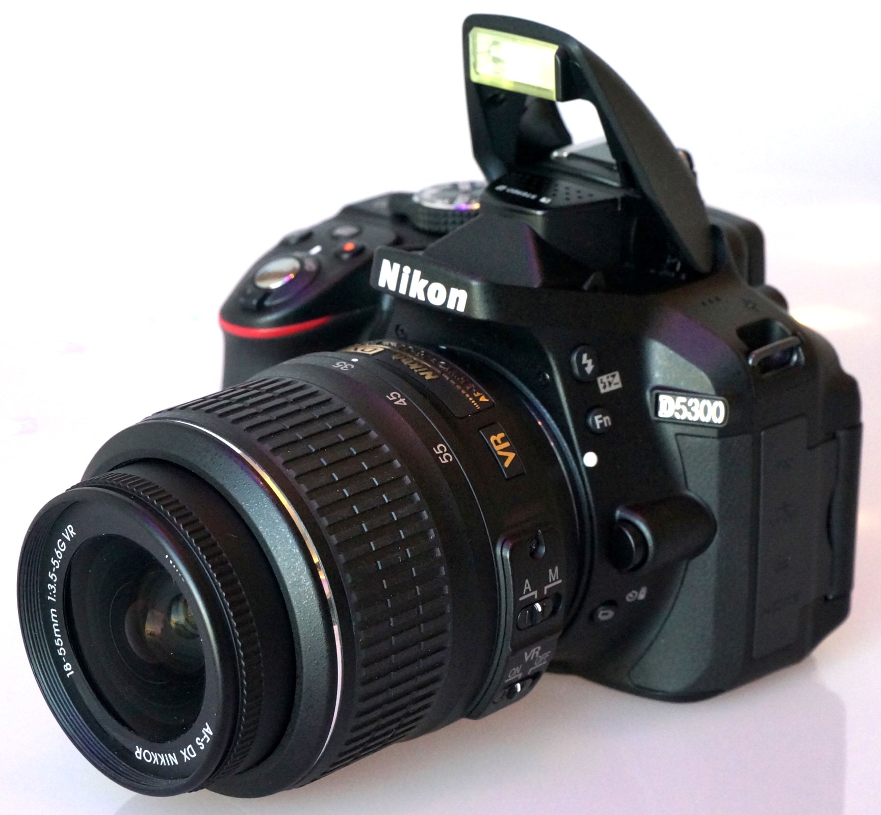 Nikon D5300 DSLR (35) (Custom)